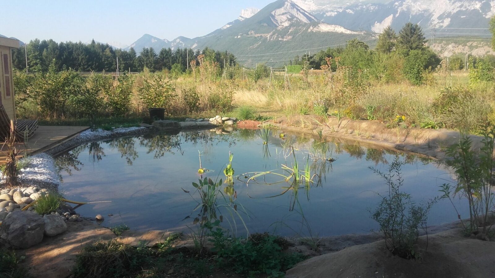 Aménager une mare - LPO Auvergne-Rhône-Alpes