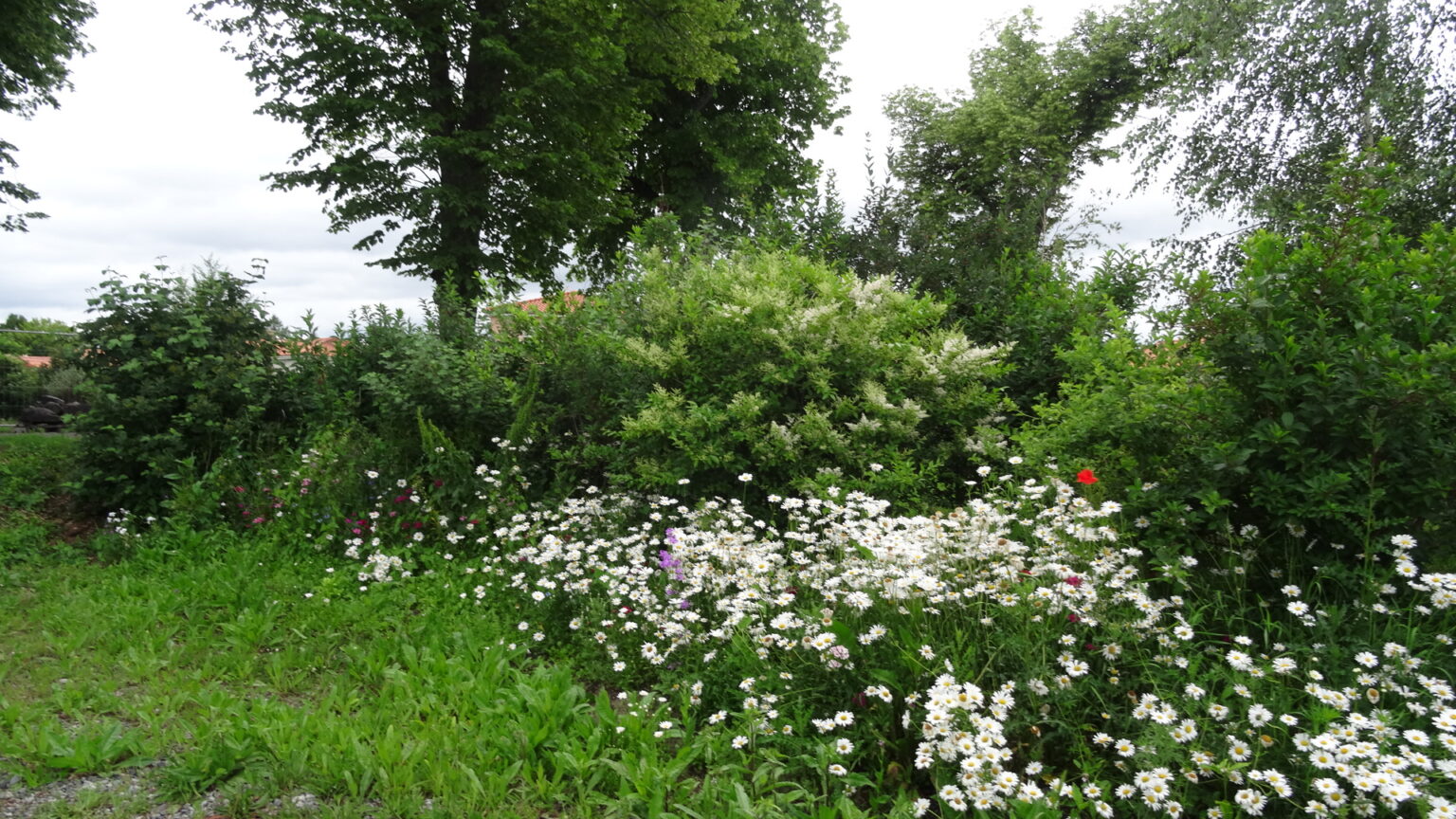 S'engager - LPO Auvergne-Rhône-Alpes