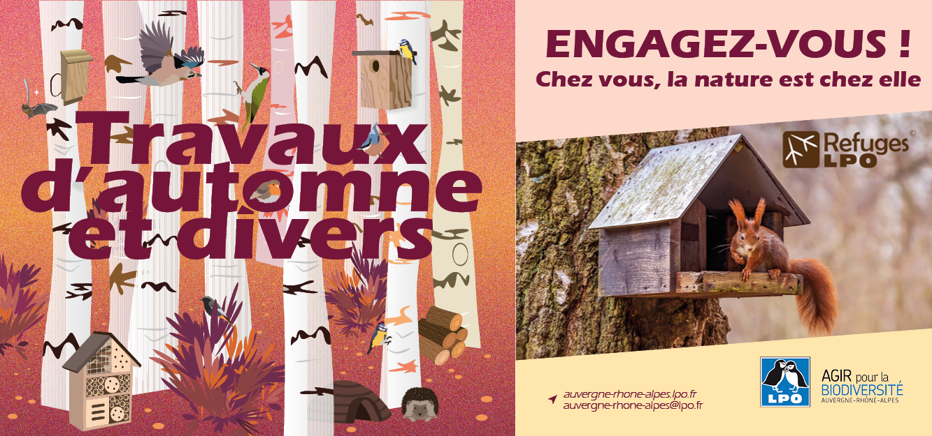 Travaux d’automne et divers – Action n°10 : ENGAGEZ-VOUS ! Refuge LPO : chez vous, la Nature est ...