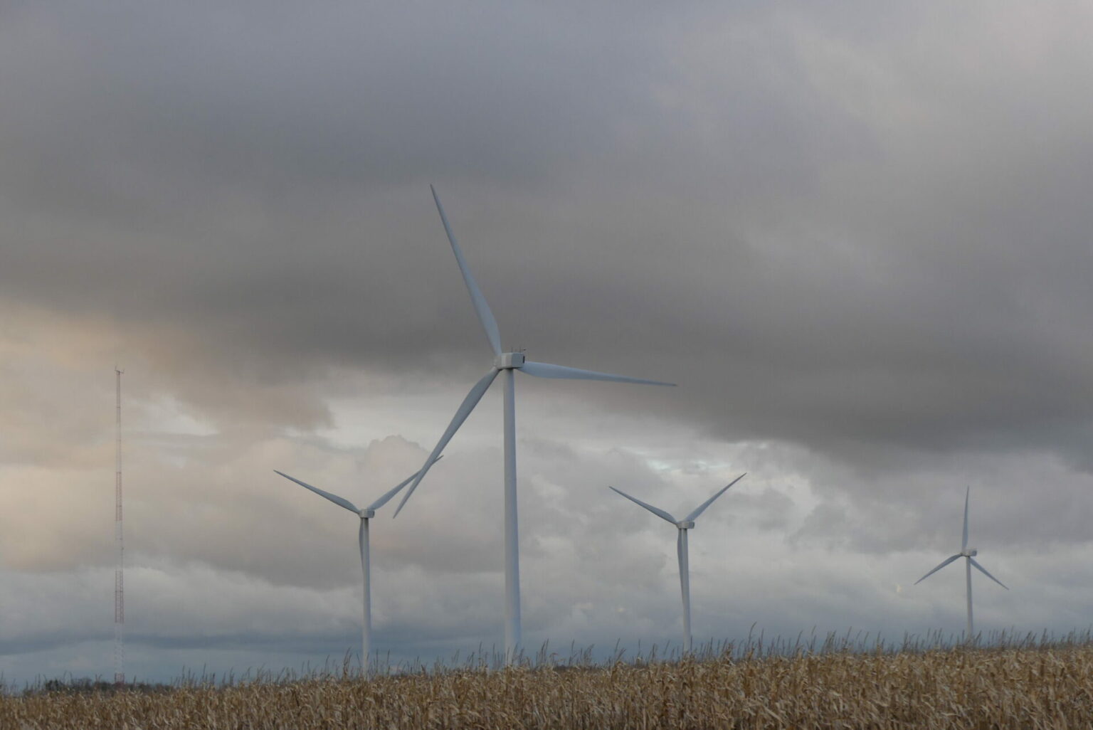 S'engager - LPO Auvergne-Rhône-Alpes