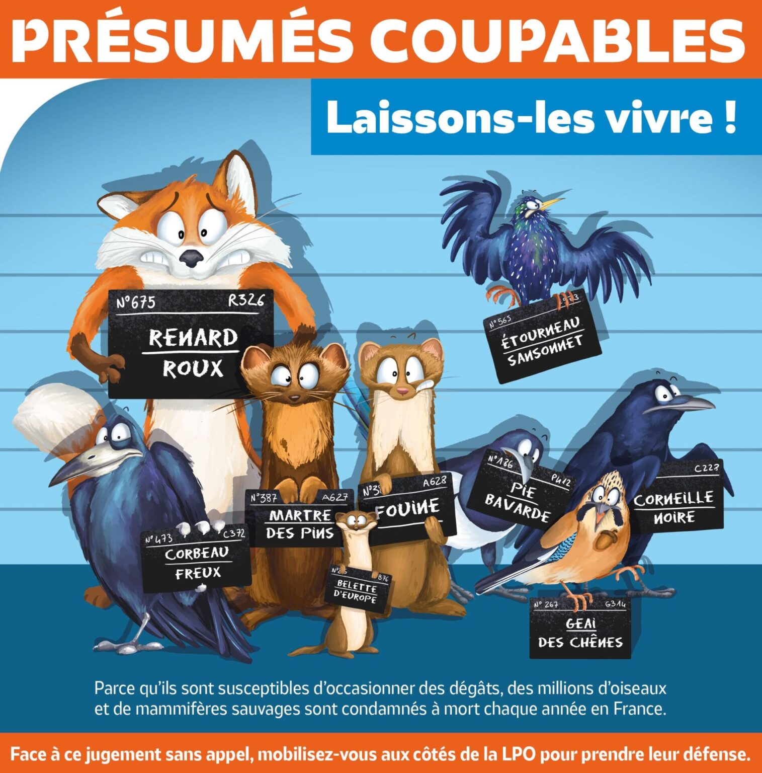 La rentrée de la LPO au forum des associations de Lyon 5e