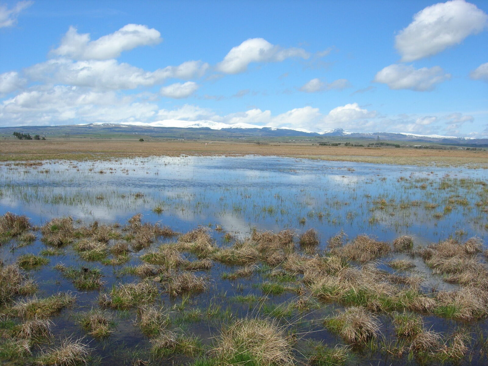 Assises Territoriales 2023 - LPO Auvergne-Rhône-Alpes