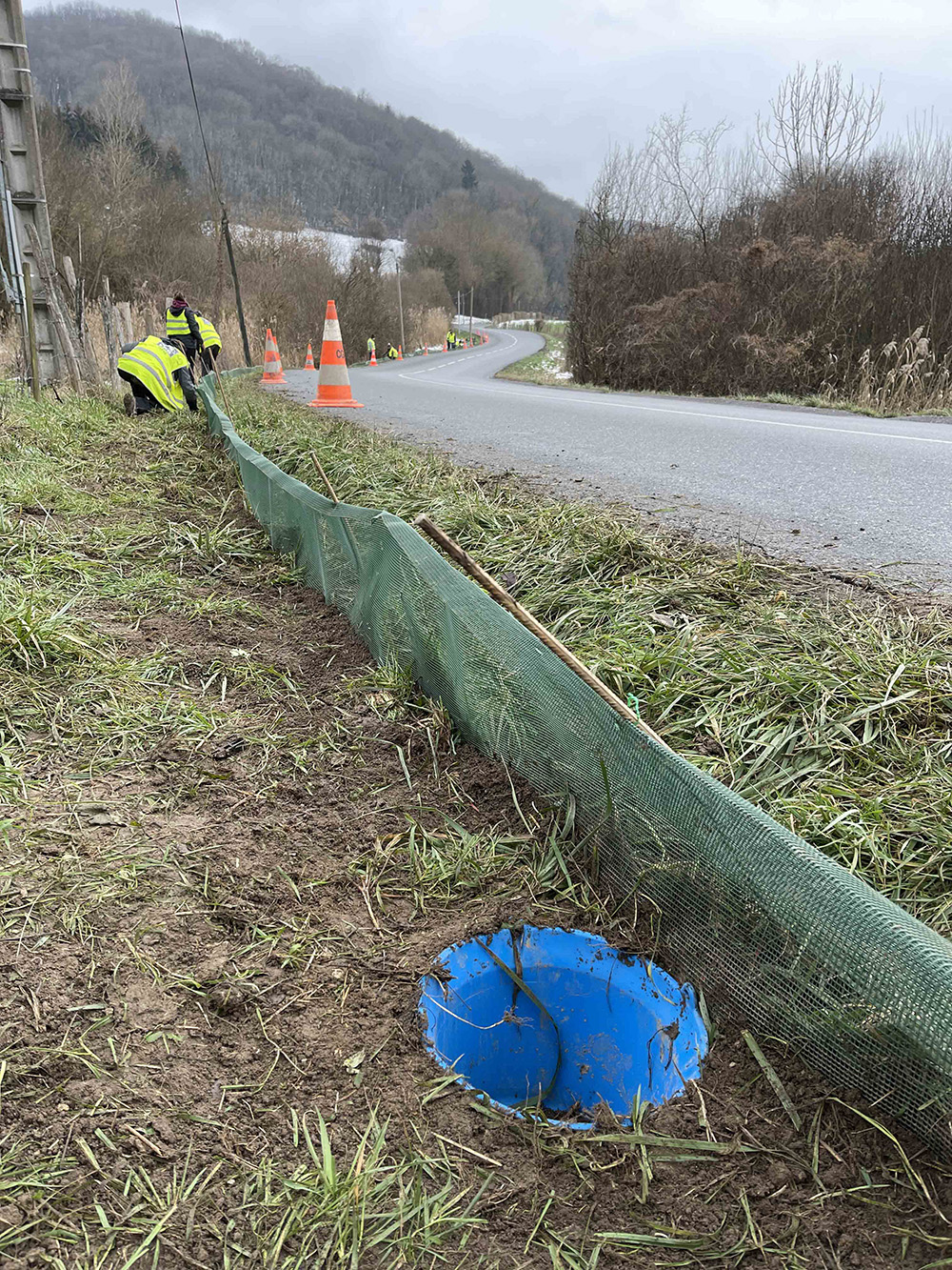Le sauvetage des amphibiens - LPO Auvergne-Rhône-Alpes