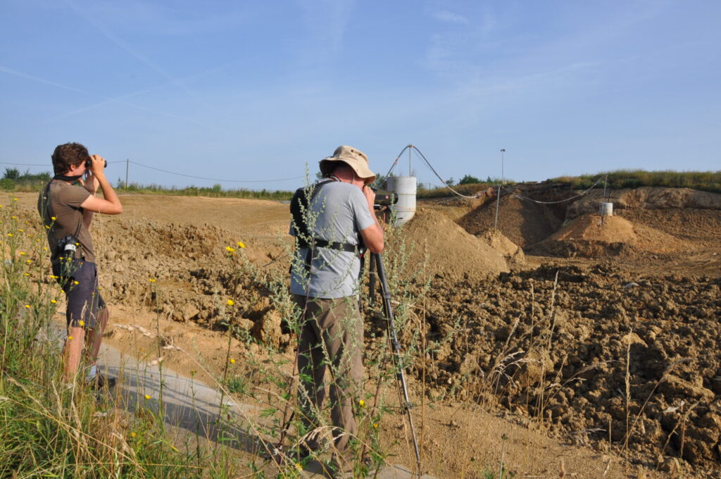 Une colonie de guêpiers d’Europe au CET de Sury-le-Comtal - LPO ...