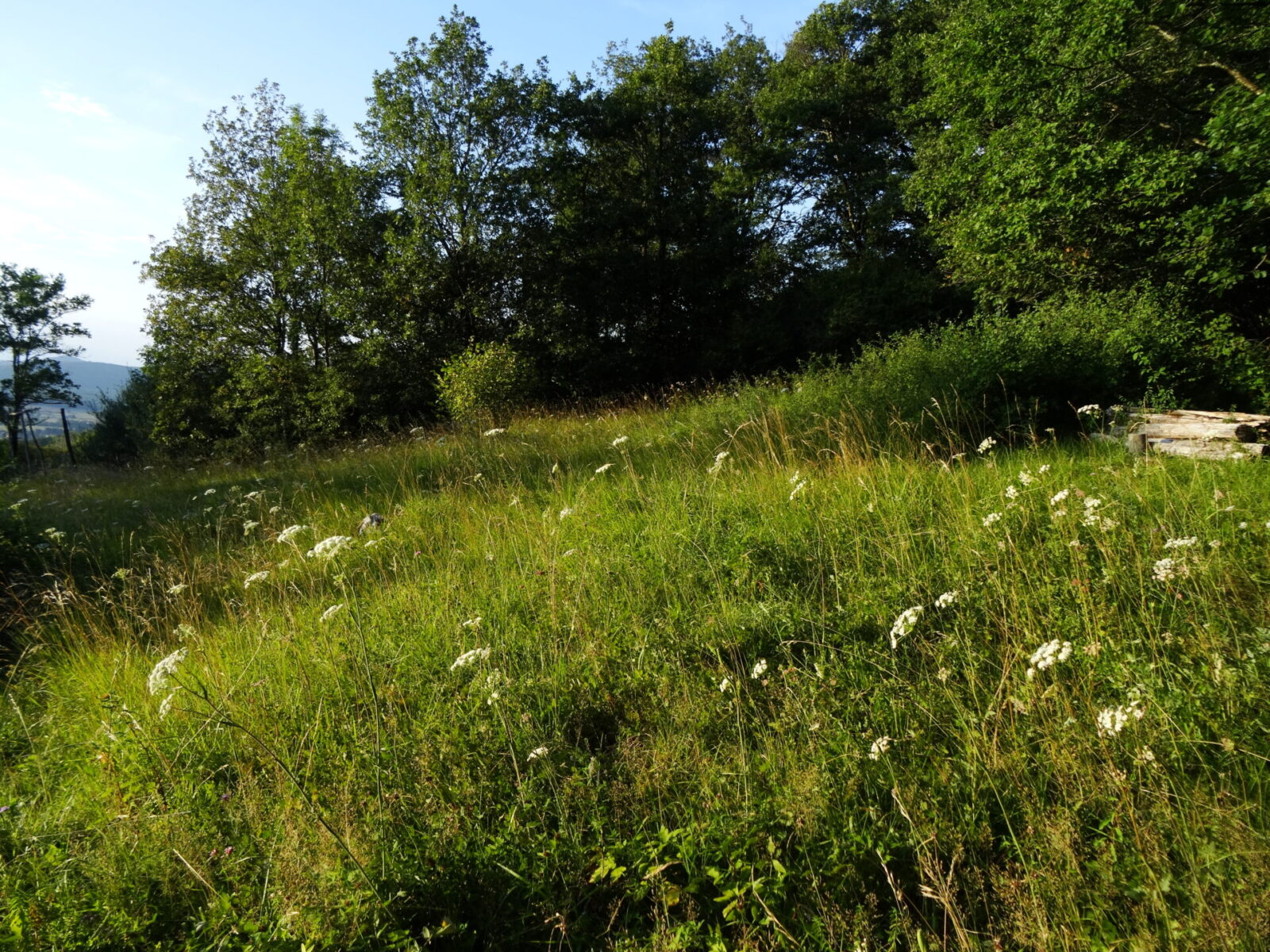 Réserve Naturelle Nationale de la Grotte de Hautecourt - LPO Auvergne ...